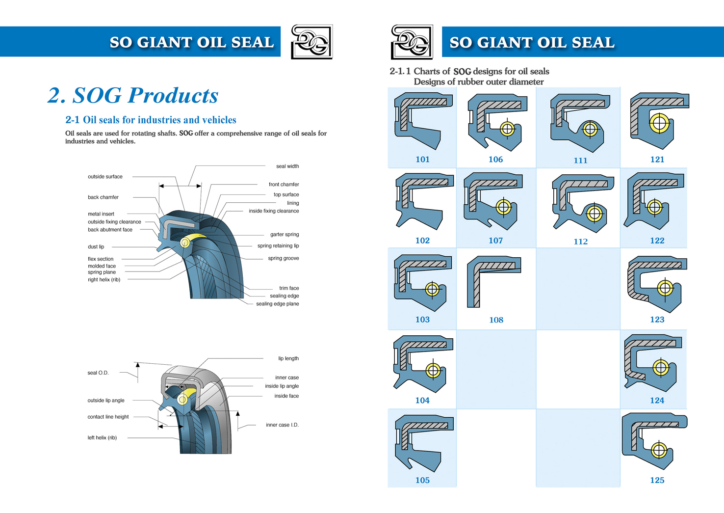 Oil Seals – SealsIndia
